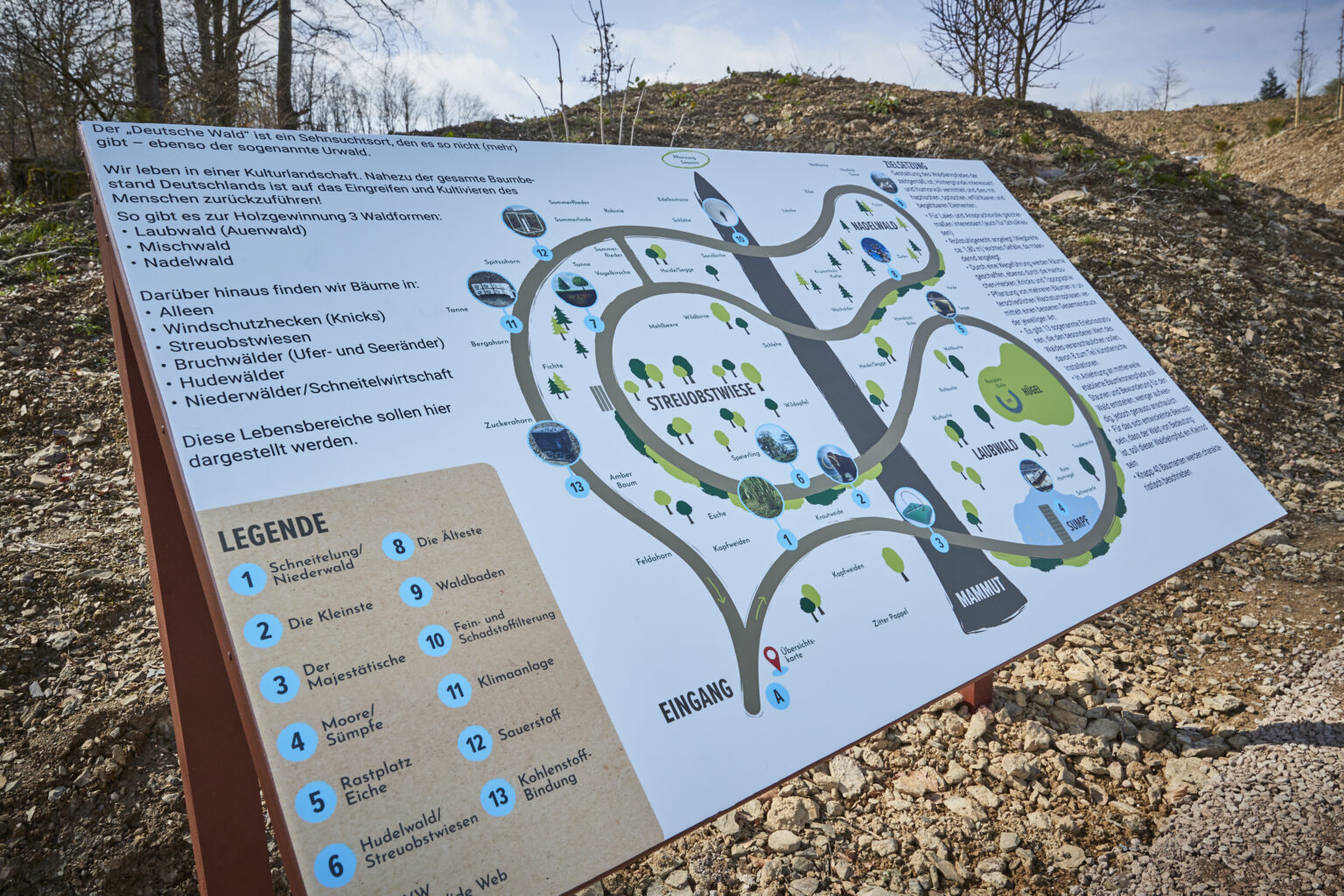 Projekte - PLANT-MY-TREE® - Die Stiftung